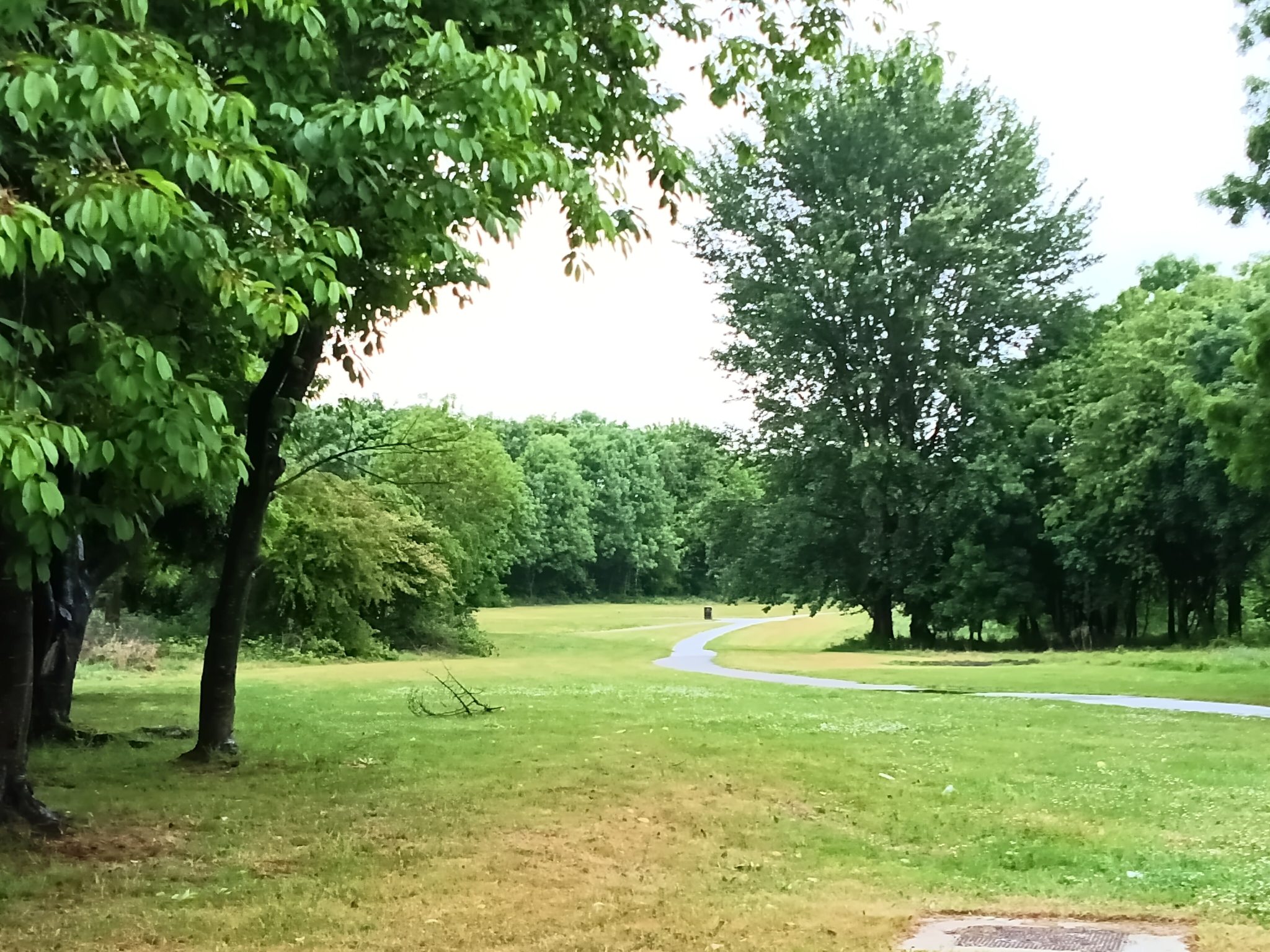 TCL 60r 5G - Review - Coolsmartphone