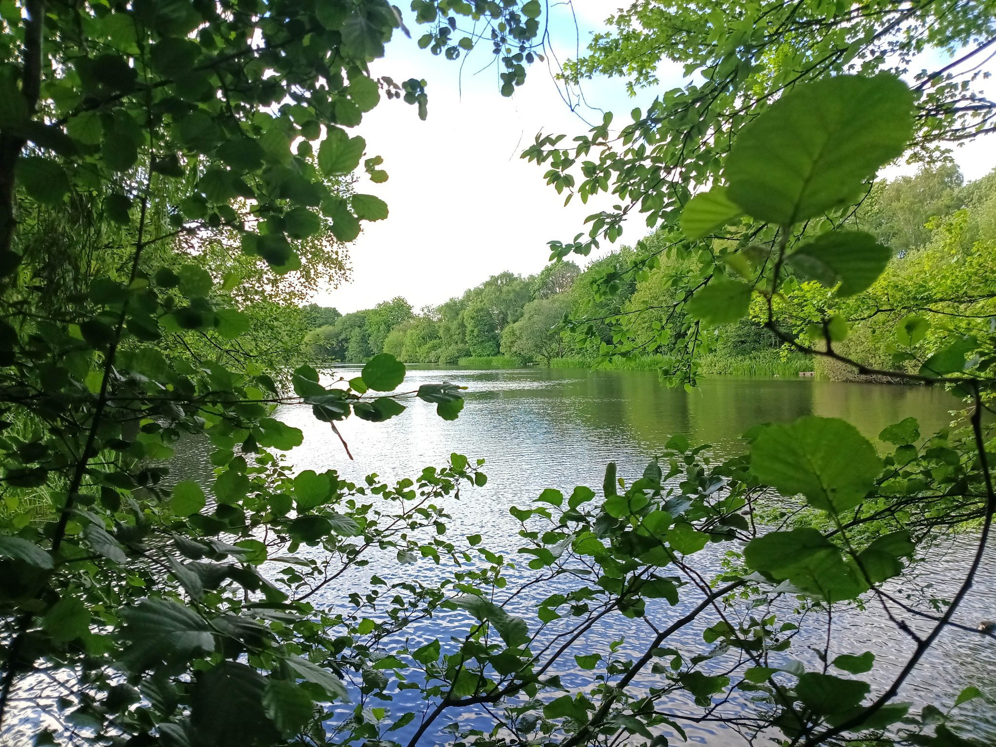 TCL 60r 5G - Review - Coolsmartphone