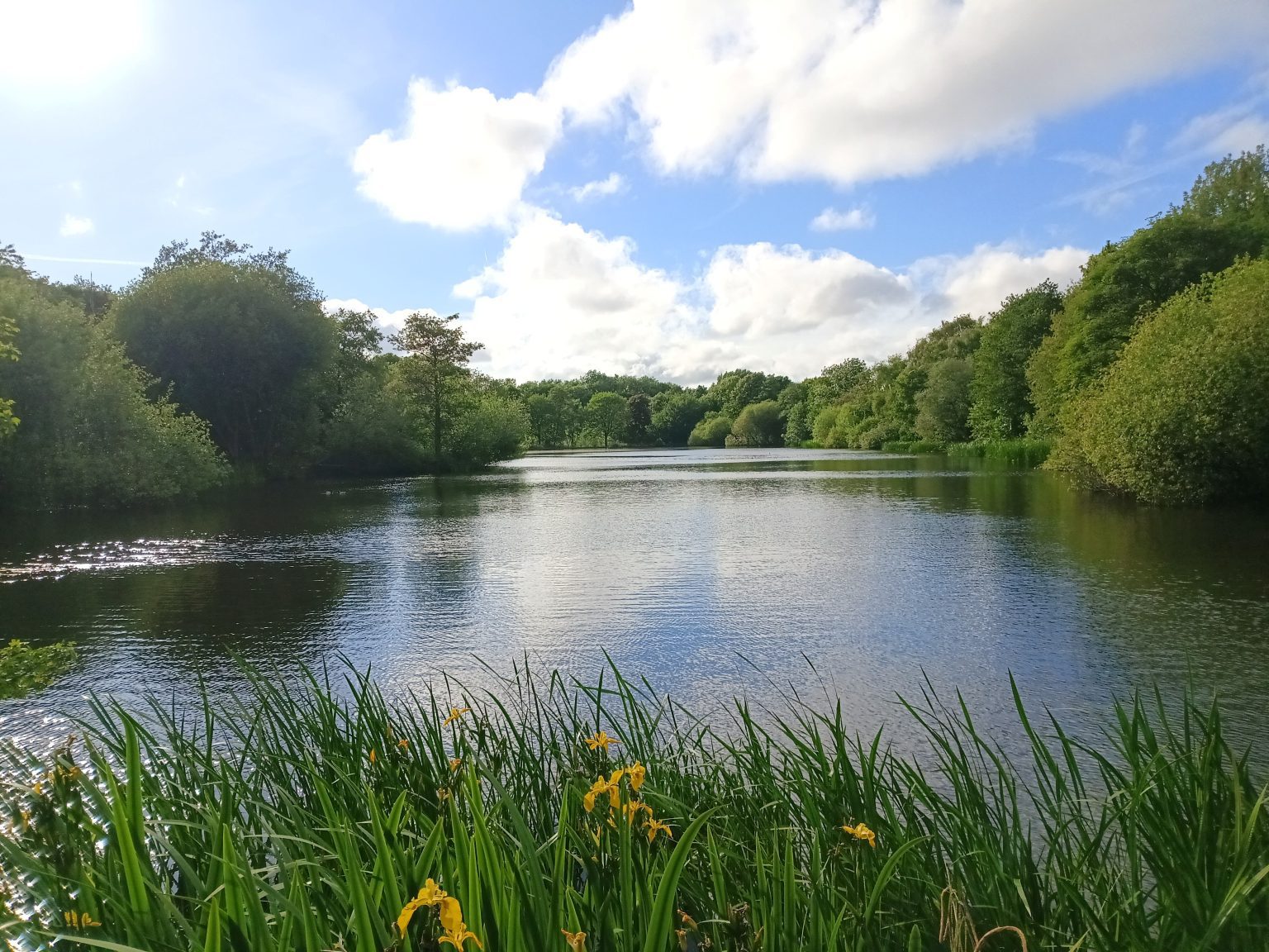 TCL 60r 5G - Review - Coolsmartphone