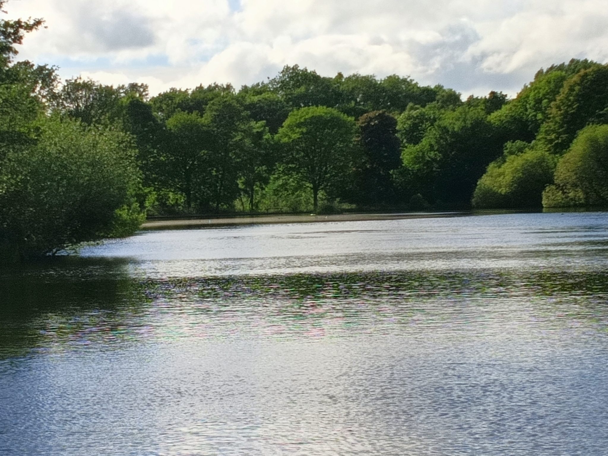 TCL 60r 5G - Review - Coolsmartphone