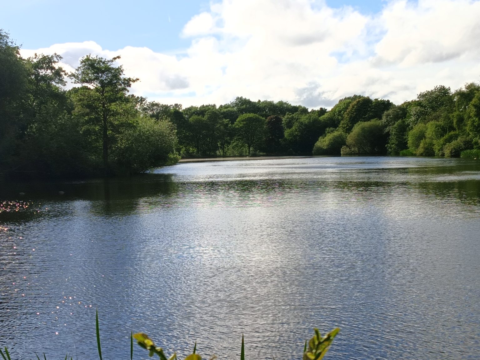 TCL 60r 5G - Review - Coolsmartphone