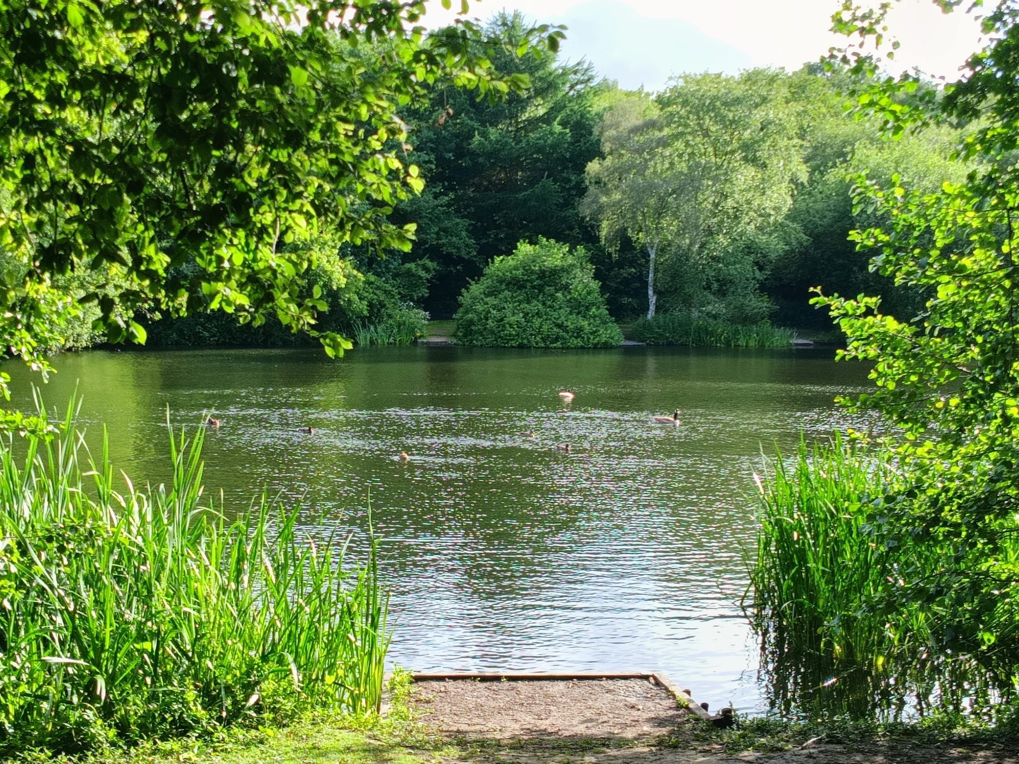 TCL 60r 5G - Review - Coolsmartphone