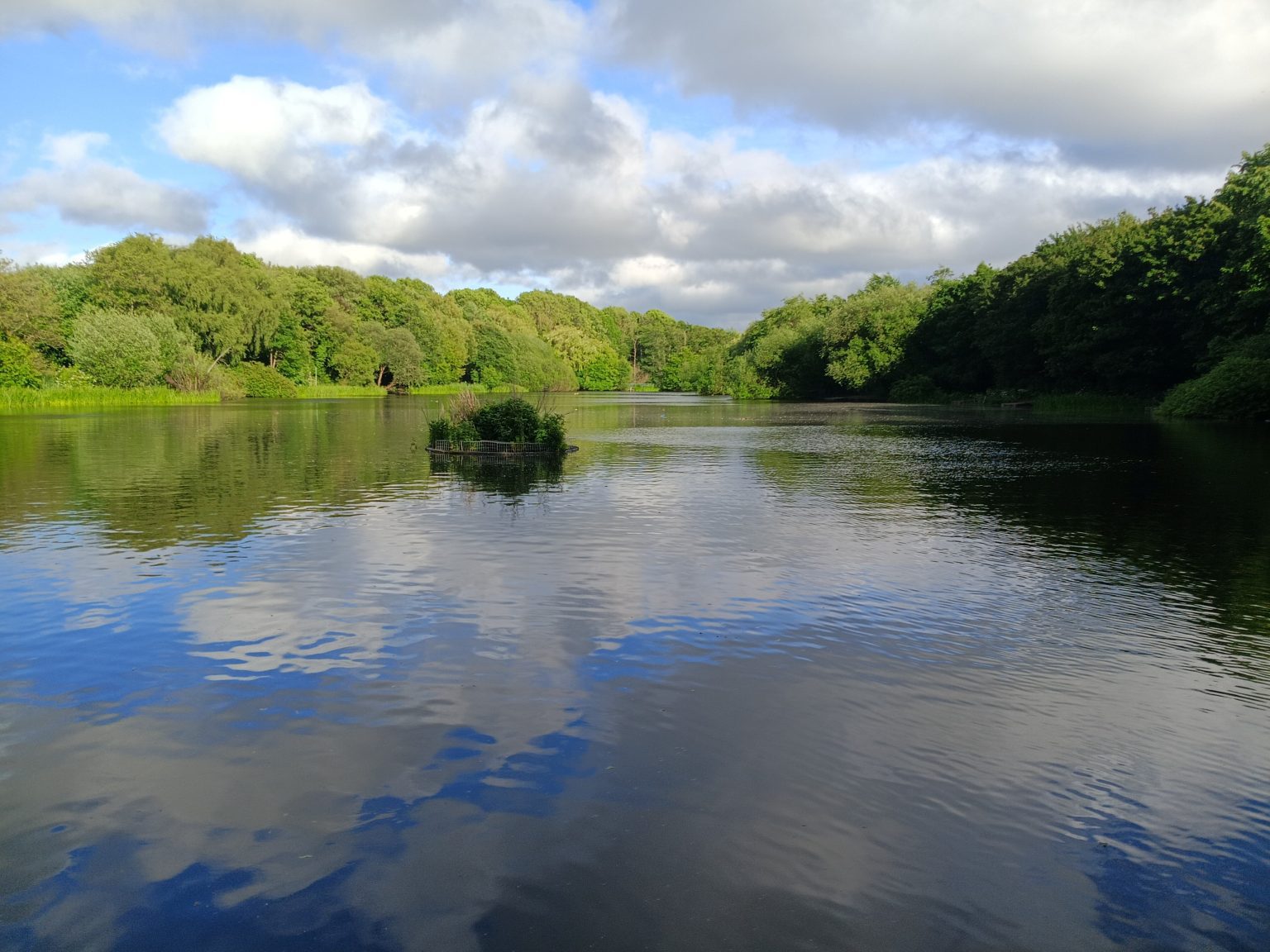 TCL 60r 5G - Review - Coolsmartphone