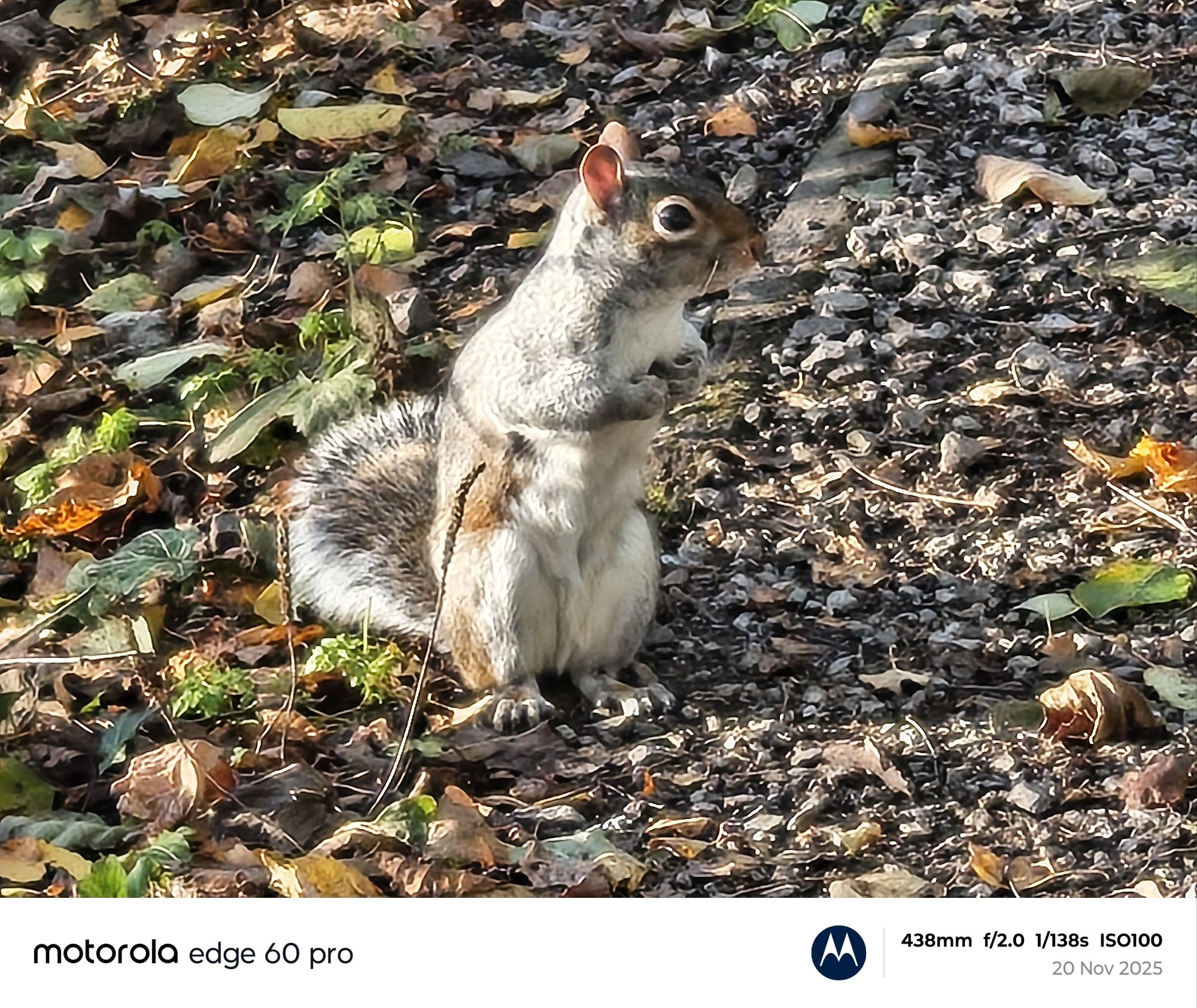 img_20251120_141833288_hdr570601823964309842.jpg - Coolsmartphone